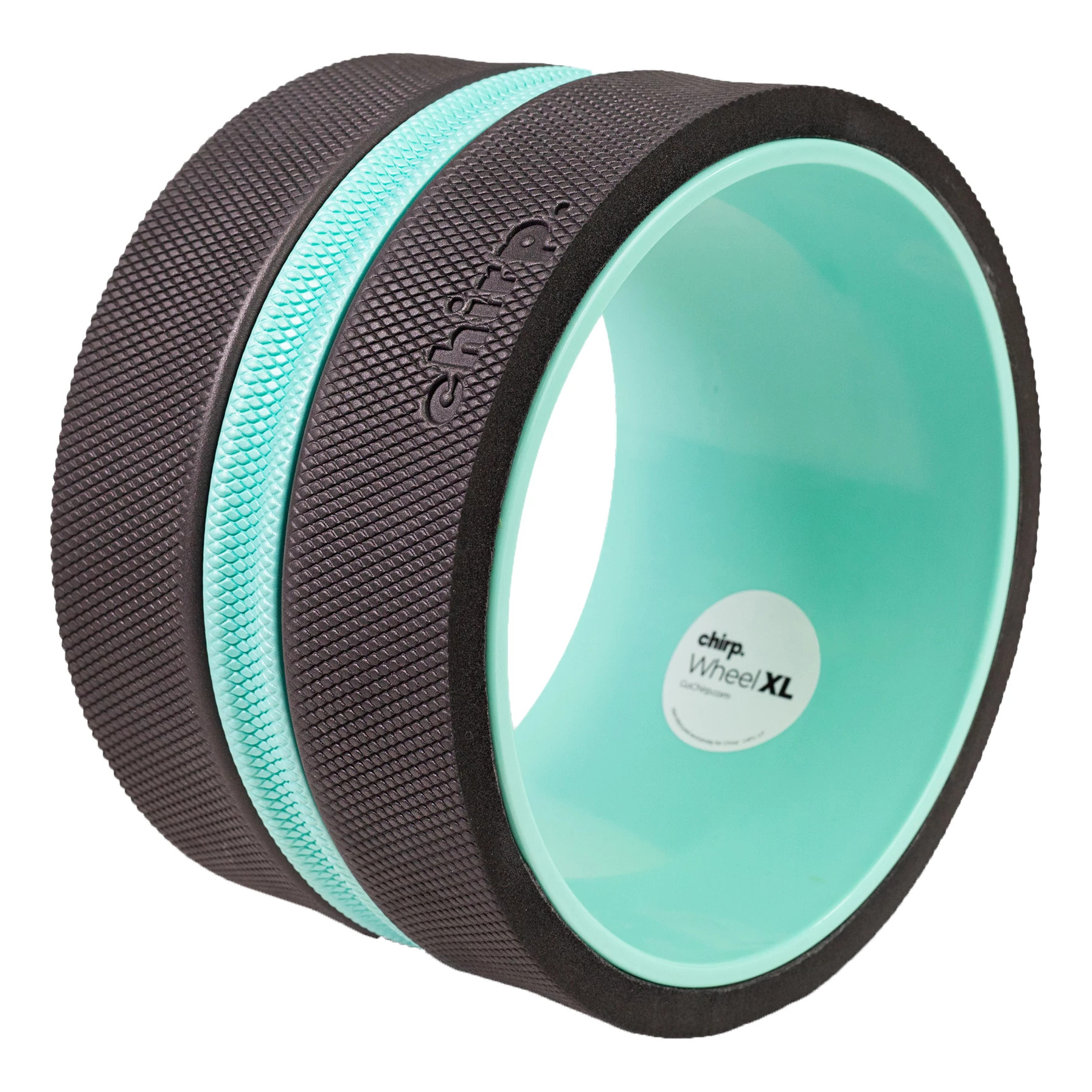 Chirp 10 Inch XL Wheel Fitness Equipment